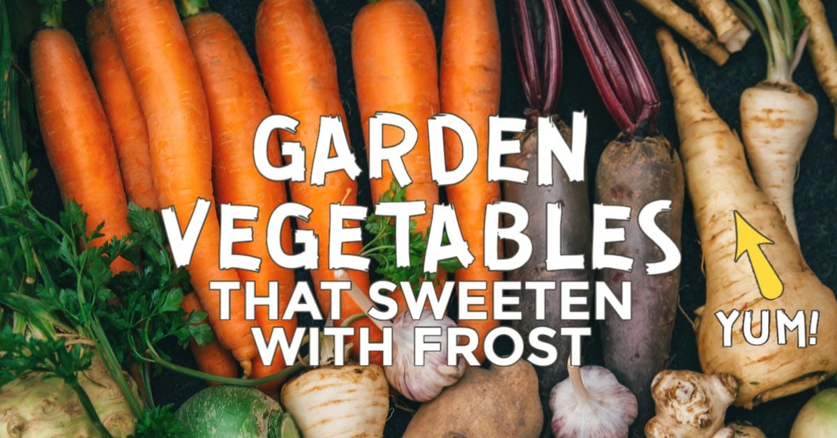 16 Garden Vegetables That Sweeten with Frost | Empress of Dirt