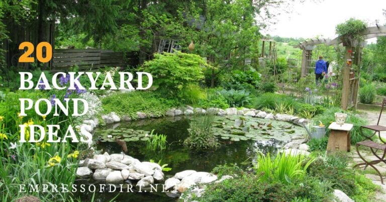 20 Beautiful Backyard Pond Ideas for All Budgets
