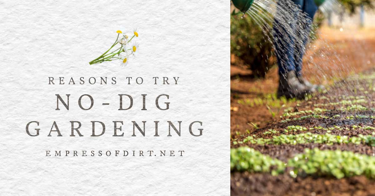 What is No-Dig Gardening and Should I Try It? | Empress of Dirt
