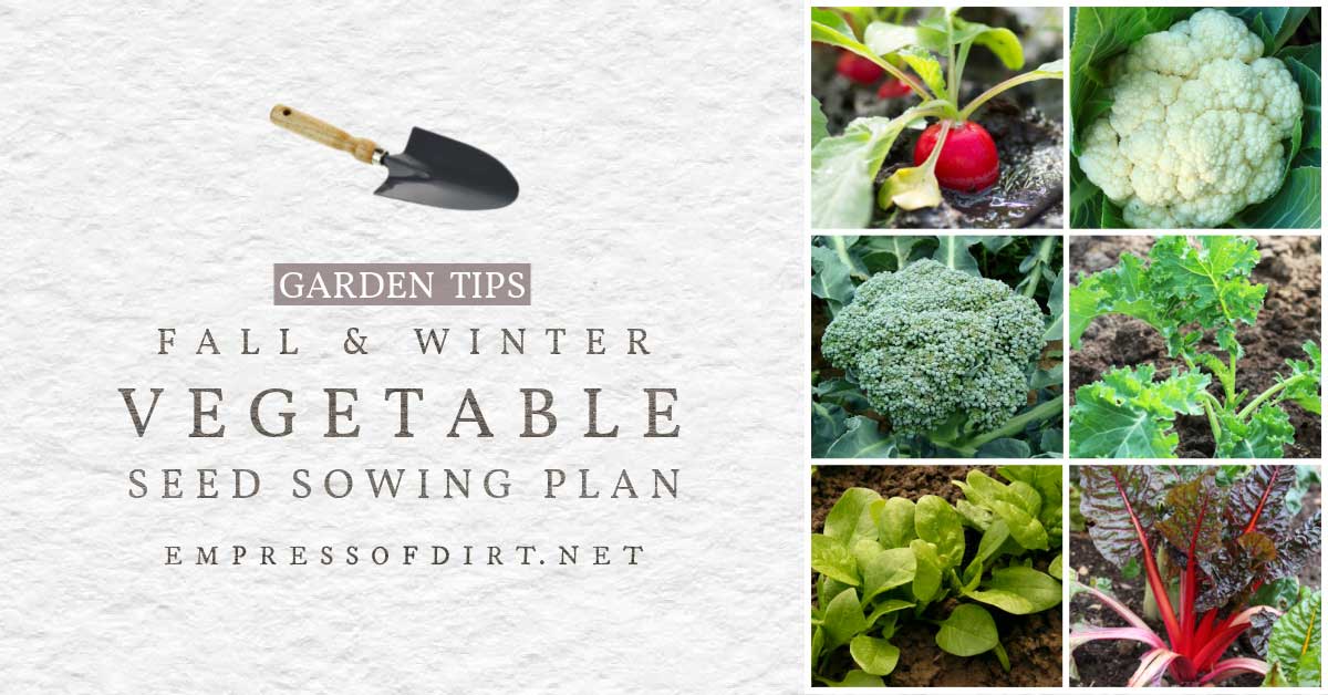Grow a Fall-Winter Vegetable Garden (Seed Sowing Plan)