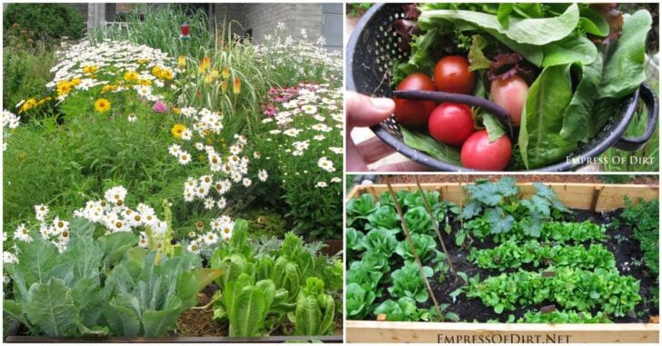 8 Creative Themes to Bring Your Dream Garden to Life