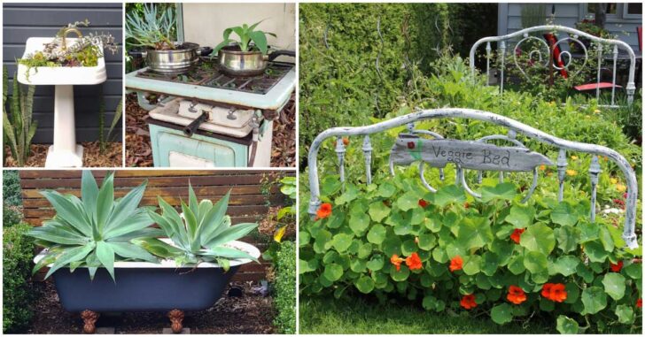 8 Creative Themes to Bring Your Dream Garden to Life