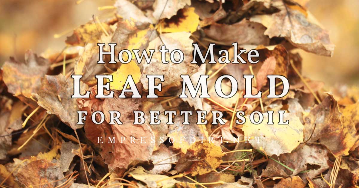 How to Make Leaf Mold (Free Organic Soil Amendment) — Empress of Dirt
