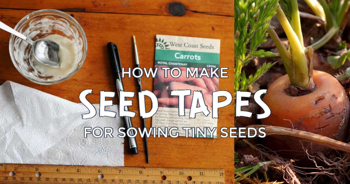 How to Make Seed Tapes for Easier Sowing | Empress of Dirt