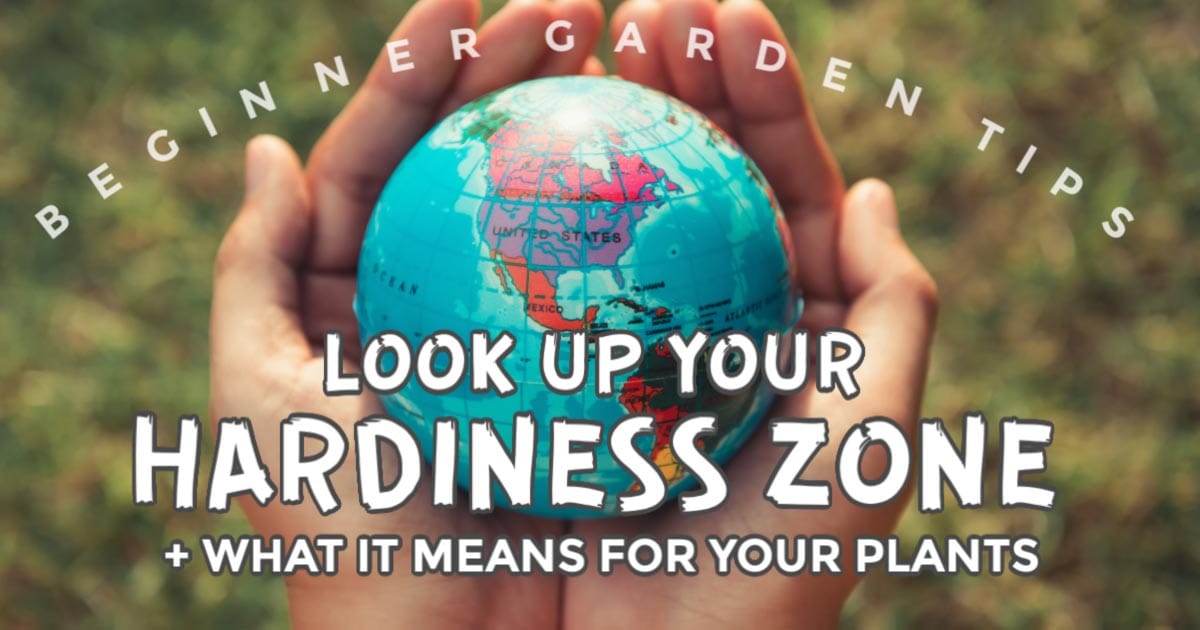 How to Find and Understand Your Plant Hardiness Zone | Empress of Dirt
