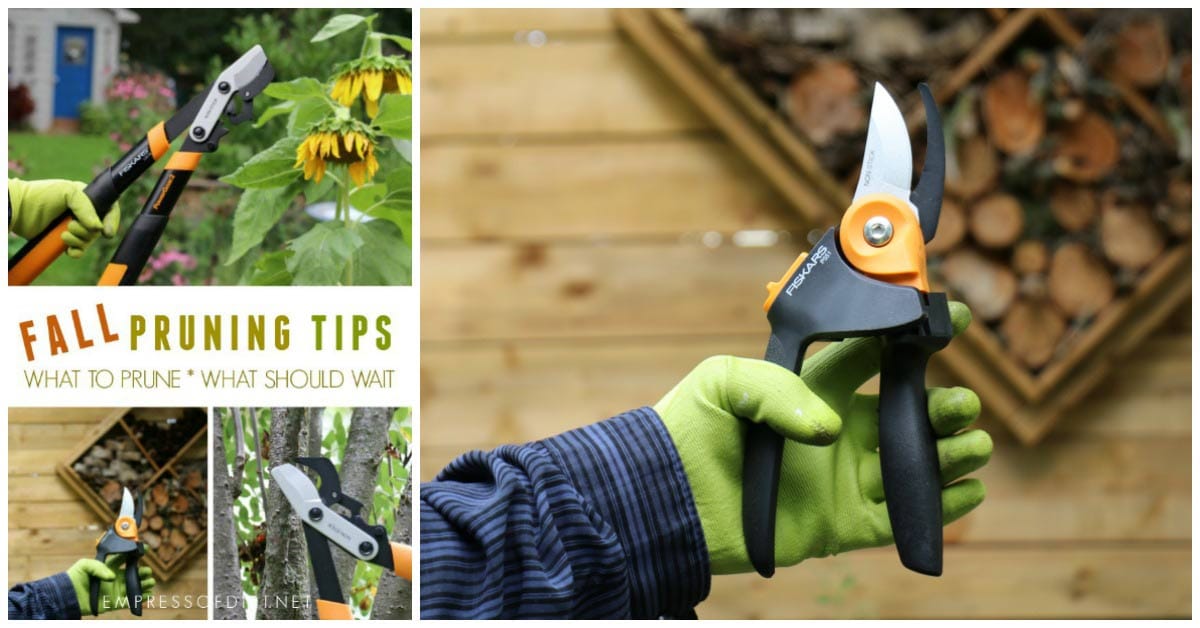 What to Prune in Fall and What Should Wait | Empress of Dirt