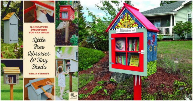 Little Free Library Building Ideas | Empress of Dirt