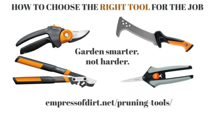 Garden Tool Guide: How to Choose the Right Pruners & Loppers