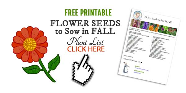 25 Annual and Perennial Flower Seeds to Sow in Fall | Printable ...