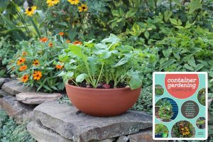 Container Vegetable Gardening: A Planting Plan for Spring Through Fall