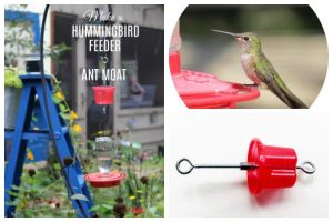 Easy DIY Ant Moat For Hummingbird Feeders