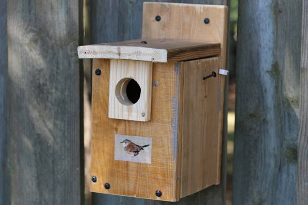 Smart Trick for Stopping Nesting Box Predators | Empress of Dirt