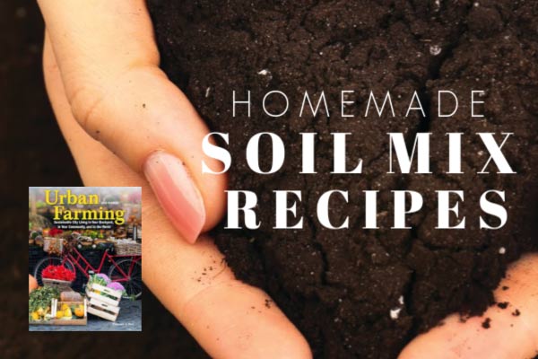 Empress of Dirt | Page 22 of 160 | Creative and Frugal Home & Garden Ideas