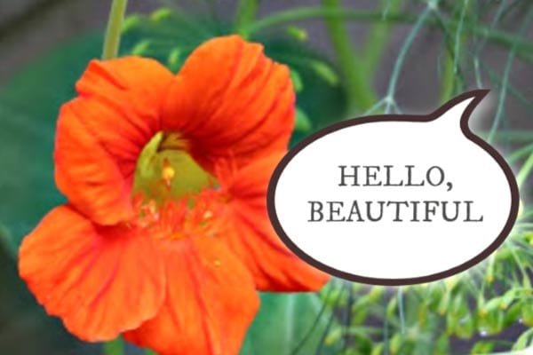 Does Talking to Plants Really Help Them Grow? | Empress of Dirt