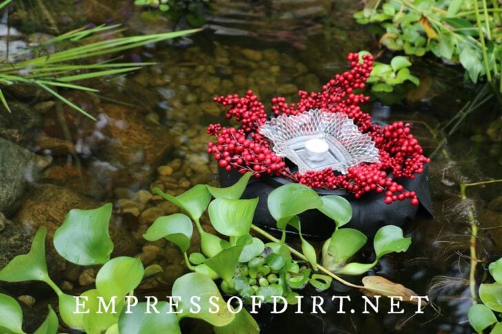 How to Make a Floating Pond Planter — Empress of Dirt