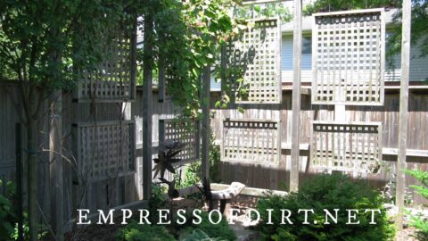 20 Ideas for Better Backyard Privacy — Empress of Dirt