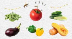How to Know Which Vegetable & Fruit Crops Need Pollinators