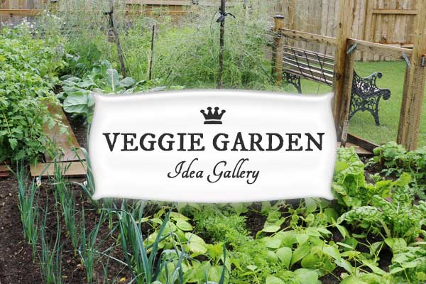20+ Ideas For Your Home Veggie Garden - Empress of Dirt
