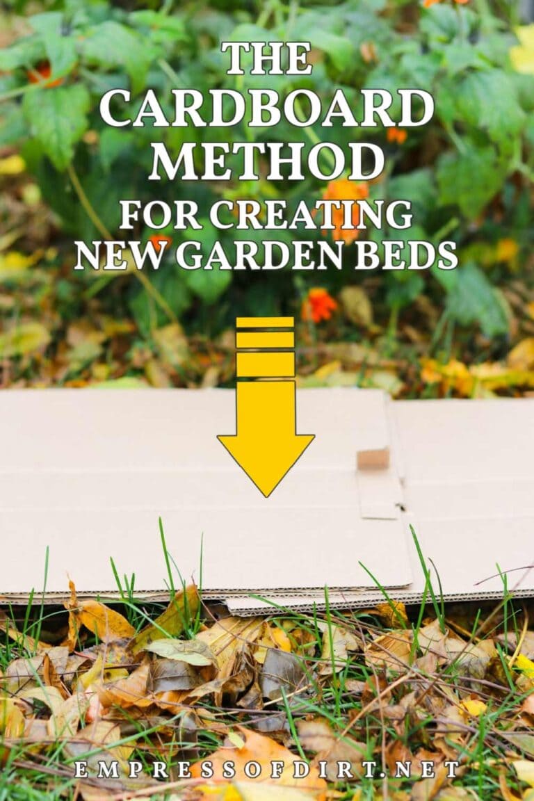 The Cardboard Method For Turning Lawn Into Garden Beds — Empress of Dirt