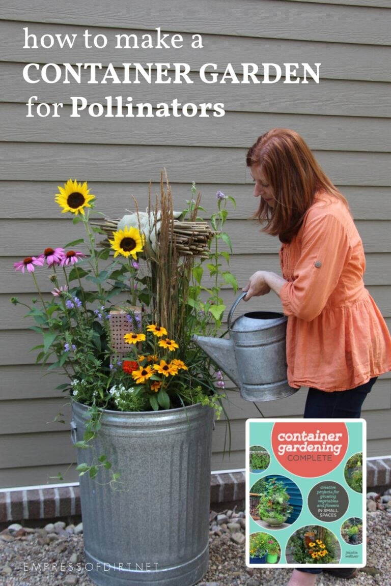 How to Create a Pollinator-Friendly Container Garden