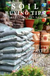 Buying Soil For Your Garden? Read This First — Empress of Dirt