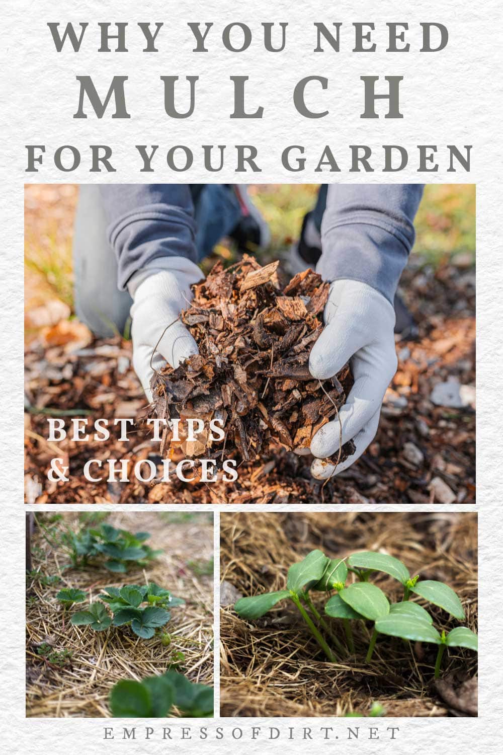 Mulch 101: Getting Started With Mulching Your Garden