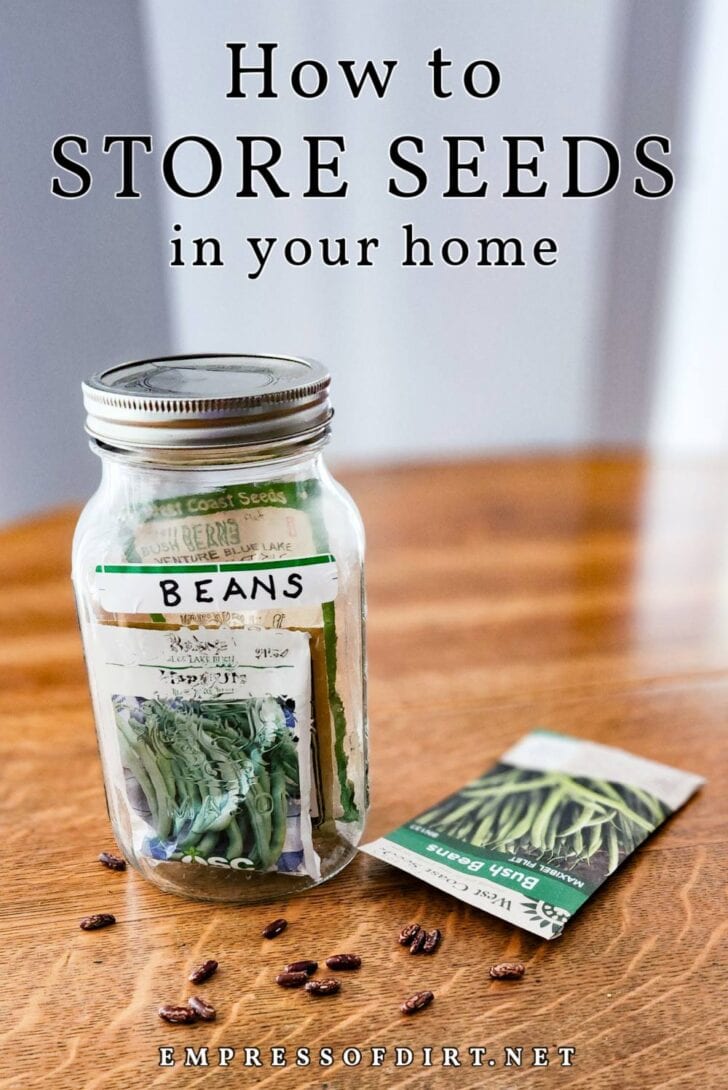 Seed Storage: Top Tips For Storing Seeds at Home