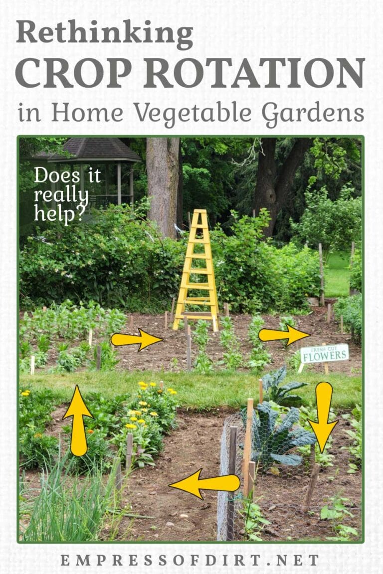 Should I Rotate My Vegetable Crops?