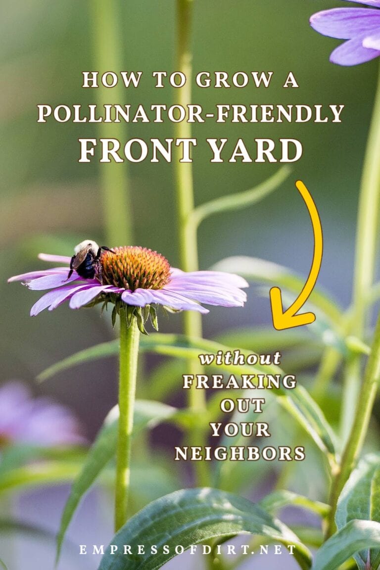How to Grow a Pollinator-Friendly Front Garden Without Freaking Out ...