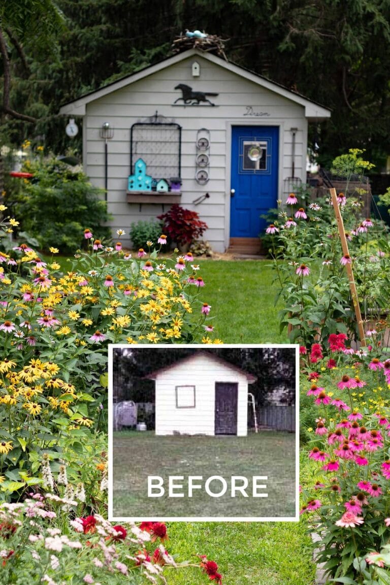 Starting a Garden From Scratch (Yearly Photos) — Empress of Dirt