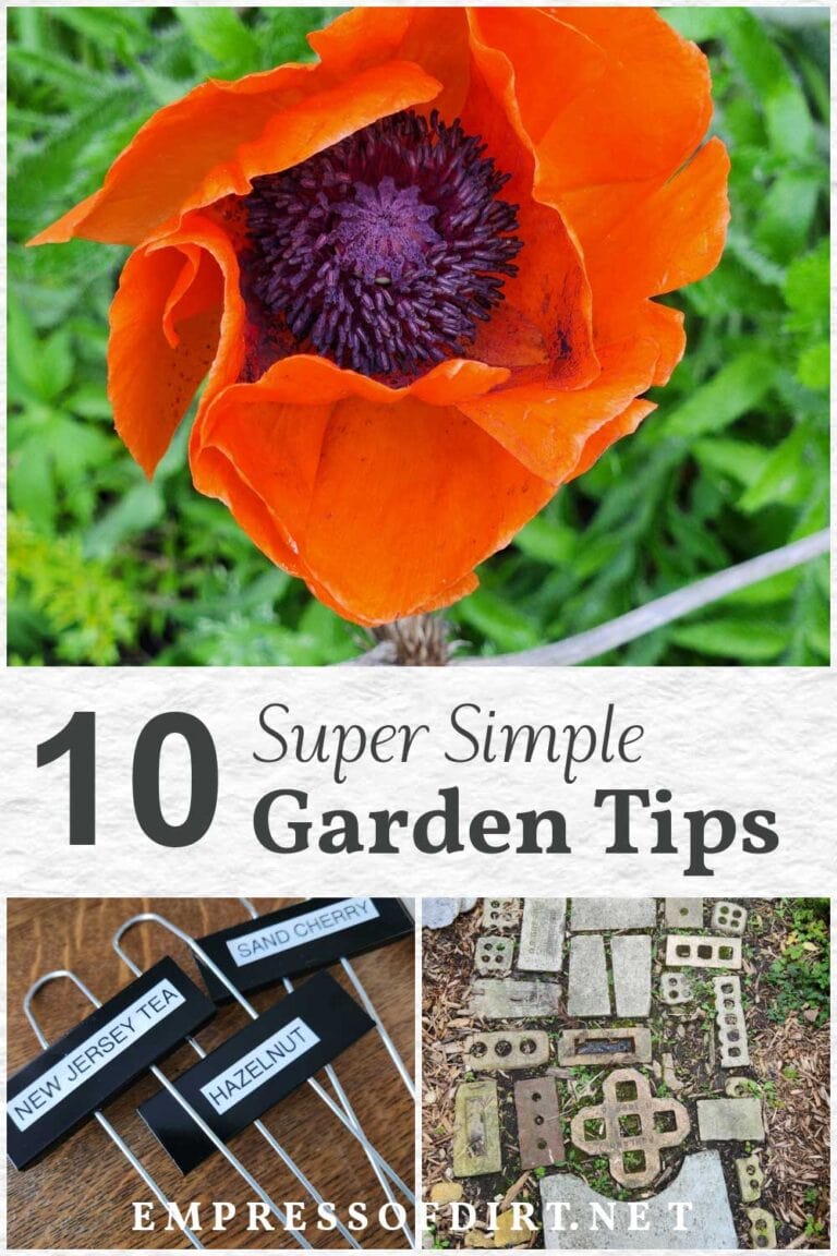 10 Surprisingly Simple Garden Tips You Might Be Overlooking