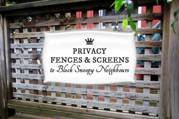 Privacy Fence & Screen Ideas for the Garden - Empress of Dirt