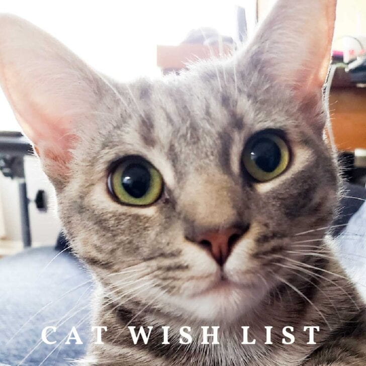 Ideas Archives | Page 9 of 26 | Empress of Dirt