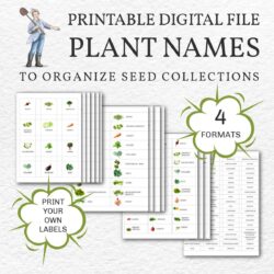 Printable Plant Name Label Files For Organizing Seeds (& More)