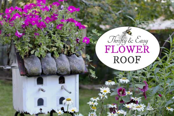 Make a Thrifty Green Roof - Empress of Dirt