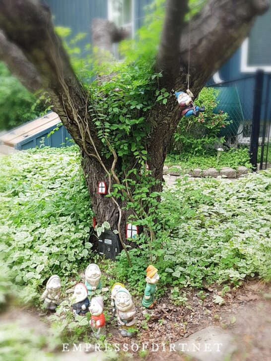 25 Creative Tree Stump Ideas for Backyard Gardens