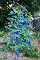 How to Build a Wooden Garden Obelisk (Step-by-Step)