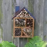 Gardening With Kids: 35 Playful & Practical Ideas