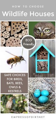 How to Choose Wildlife Houses (Birds Bees Bats Owls) — Empress of Dirt