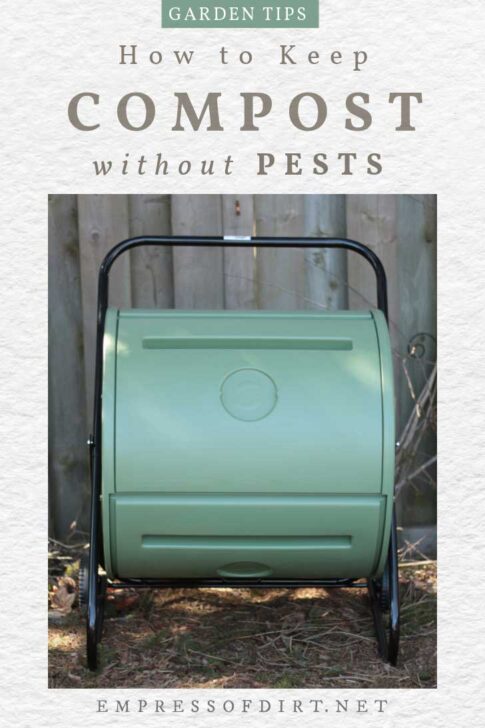 Easy Composting Without Pests (Sorry, Rats!)