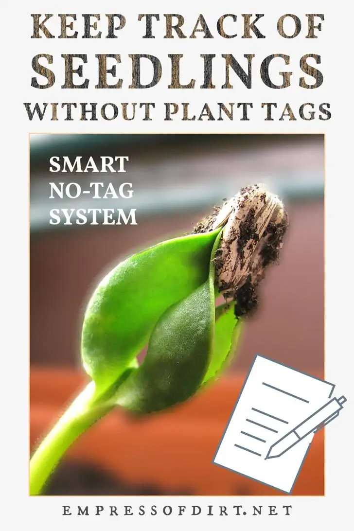 How To Track Indoor Seedlings Without Plant Tags | Empress of Dirt