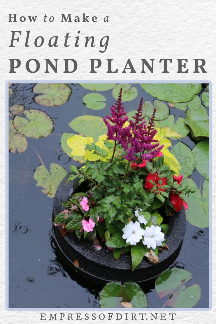 How to Make a Floating Pond Planter — Empress of Dirt