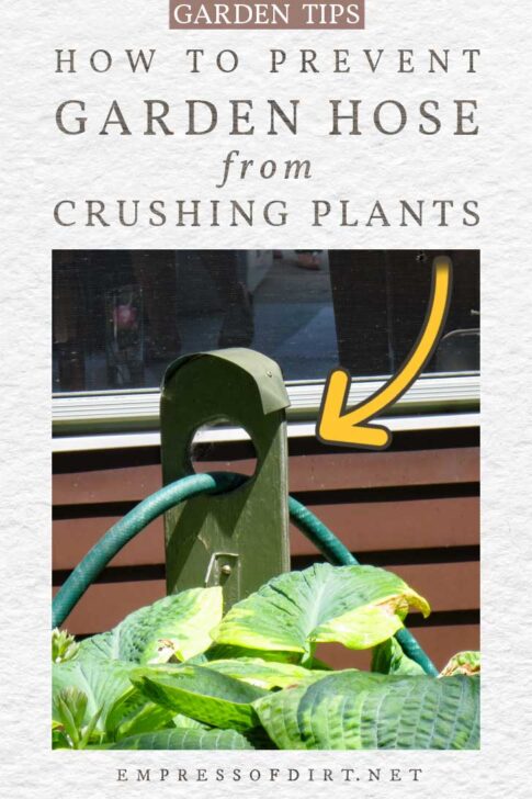 How to Protect Your Plants With Water Hose Guides