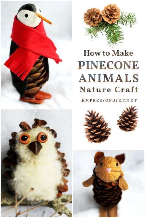 How to Make Pinecone Animals (Penguin, Owl, & Mouse)