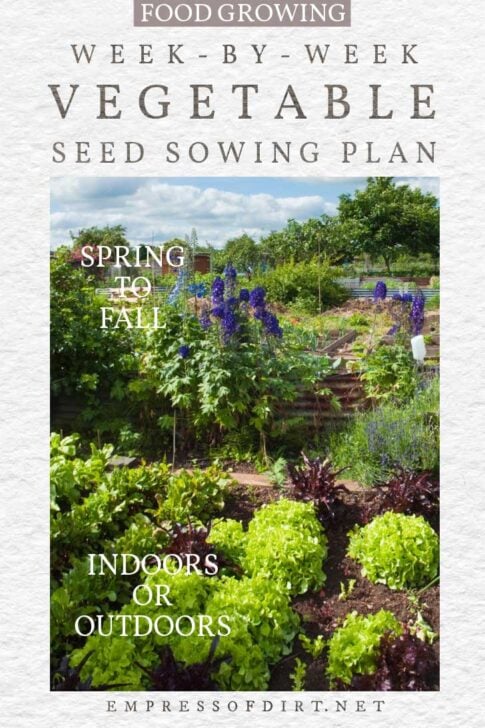 Week-By-Week Vegetable Seed Sowing Plan (Indoors & Outdoors)