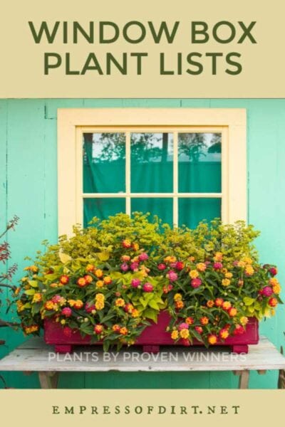 3 Plant Lists for Gorgeous Window Box Combinations | Empress of Dirt