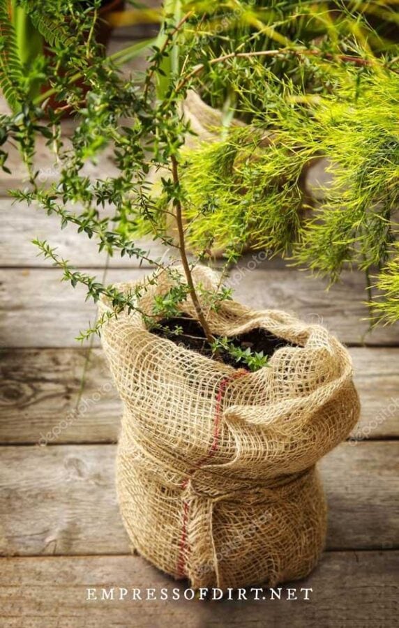20 Uses for Burlap Fabric in Your Home and Garden | Empress of Dirt