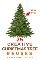 25 Creative Ways to Reuse Christmas Trees
