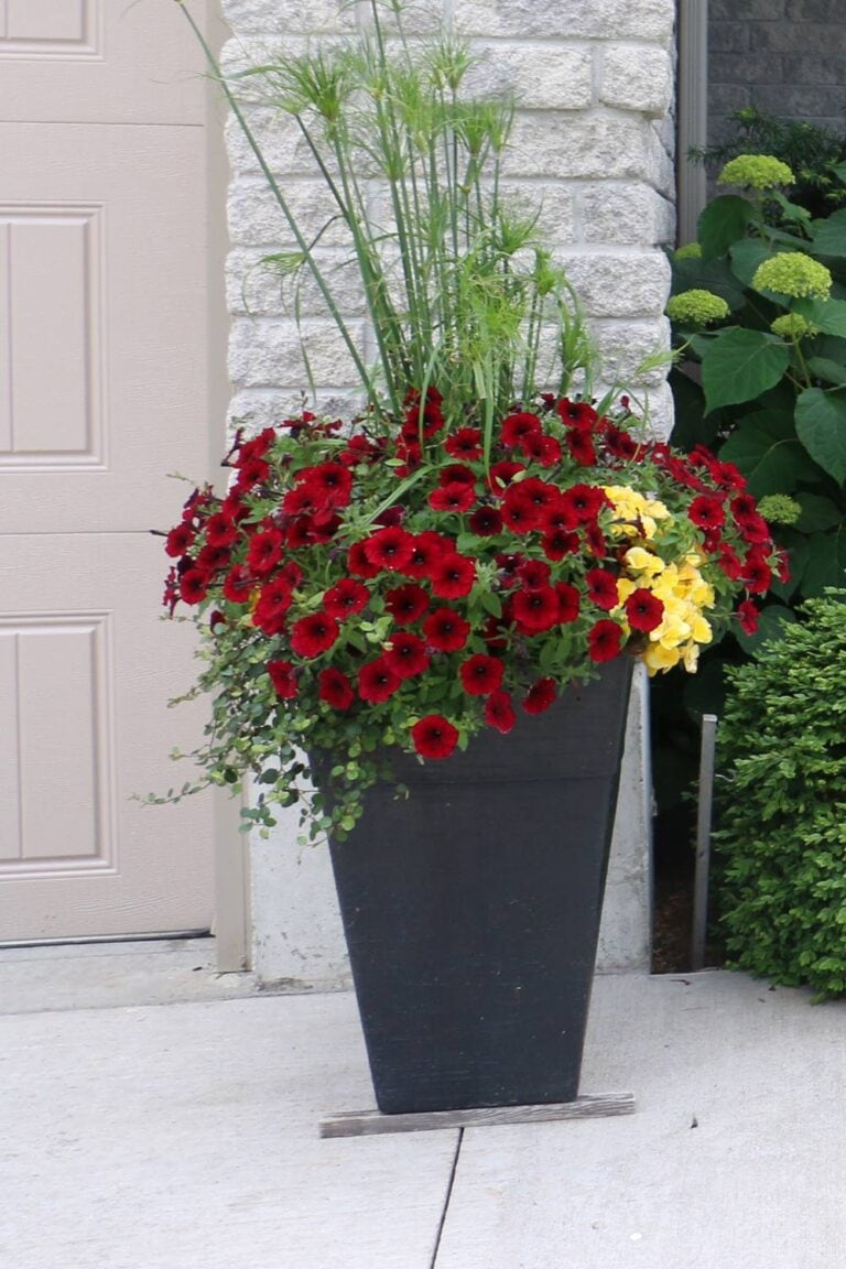25 Planter Ideas: Welcoming Front Gardens & Porches