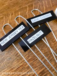 Outdoor Plant Tags & Markers that Last a Lifetime (Really)